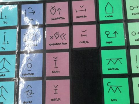 Maximiza el uso del Sistema Bliss. Ventajas y Desventajas.